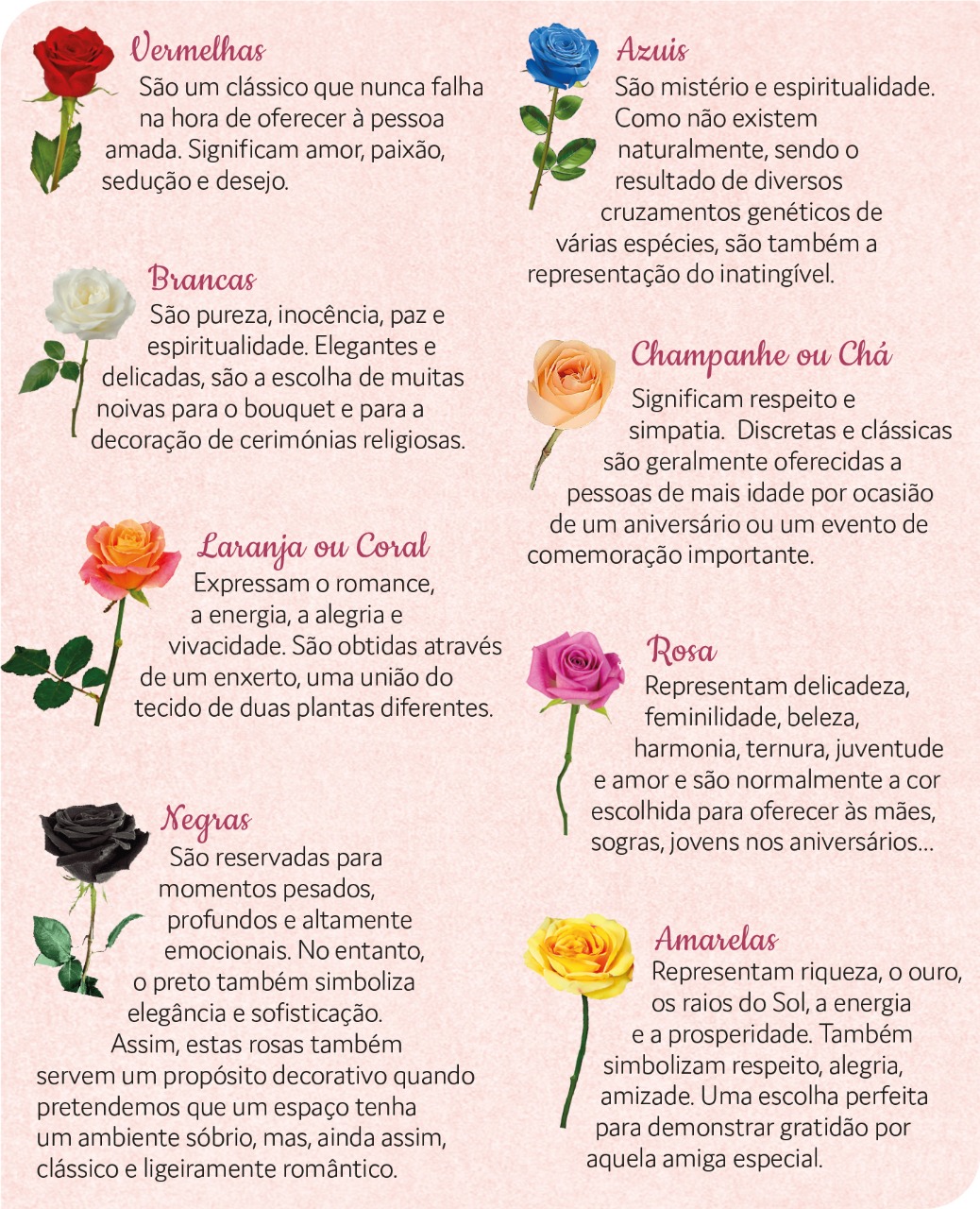 Você conhece o significado das cores das rosas? – Jornal Repercussão